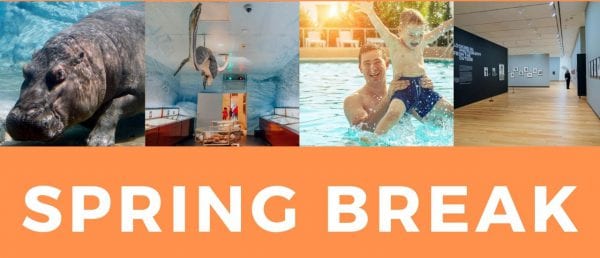 Spring Break Dallas-Fort Worth | Wildcat Ranch Texas